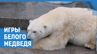 У мужчины выросли «слоновьи» ноги, он едва не умер | НГС.ру - новости ...